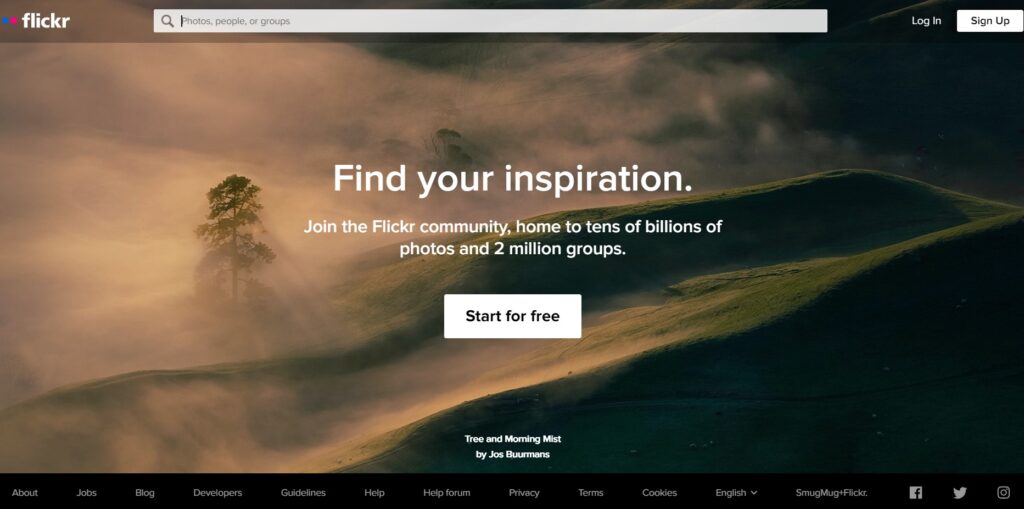 20+ Amazing Sites To Download Free Stock Photos In 2025 | Lineicons