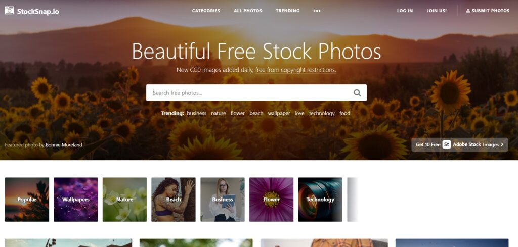 20+ Amazing Sites To Download Free Stock Photos In 2026 | Lineicons