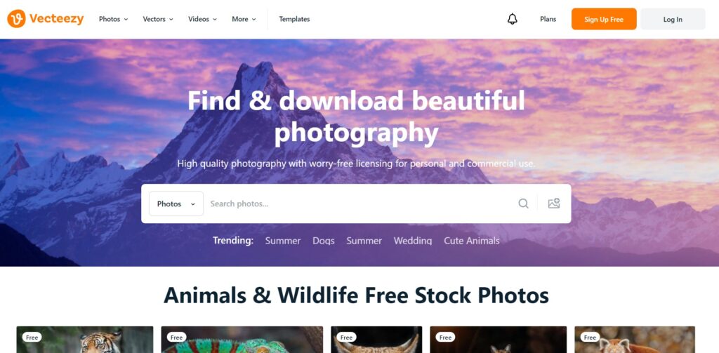 20+ Amazing Sites To Download Free Stock Photos In 2025 | Lineicons